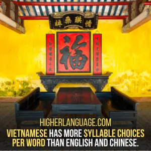 What Is The Most Efficient Language – The Deciding Factors