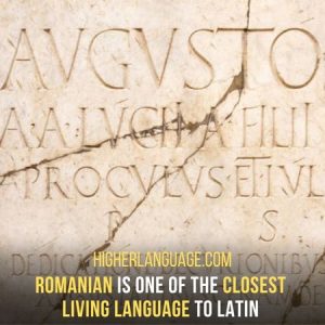Languages Similar To Latin - Here Are 5 Similar Languages!