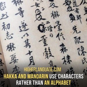 Major Languages Similar To Mandarin - Here Are 9 Choices!