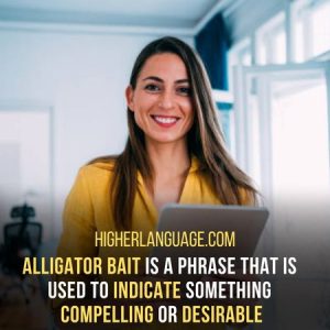 13 Mississippi Slang Words And Phrases To Know Before Visit!