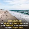 Florida Slang Words And Phrases - 33 Most Popular Ones!