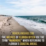 Florida Slang Words And Phrases - 33 Most Popular Ones!
