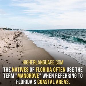Florida Slang Words And Phrases - 33 Most Popular Ones!