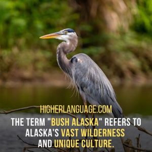 Alaska Slang Words And Phrases - Top 45! | Higher Language