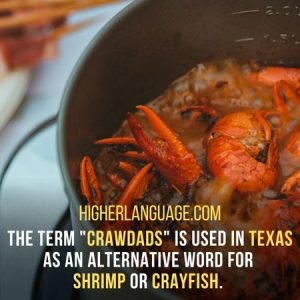 Texas Slang Words And Phrases - 27 Top Popular Ones!