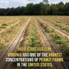 Virginia Slang Words And Phrases - 28 Most Popular Ones!
