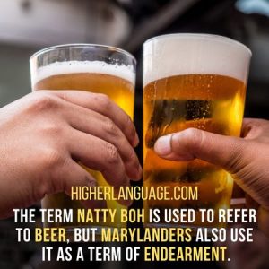 Maryland Slang Words And Phrases - 30 Most Popular Ones!