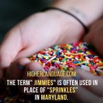 Maryland Slang Words And Phrases - 30 Most Popular Ones!