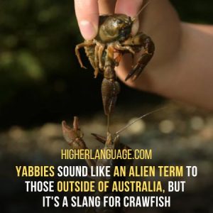 12 Slang Words For Crawfish To Improve Ocean's Vocabulary!