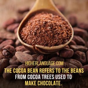 What Are The Most Common Slang Words For Chocolate?