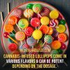 28 Famous Slang Words For Edibles You Must Know