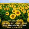 Some Slang Words For Flowers Might Surprise You!